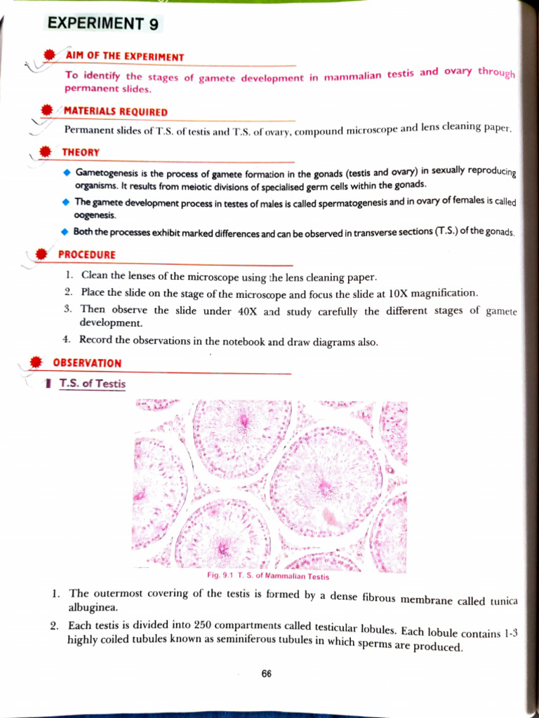 Class 12 Bio Practical | PDF