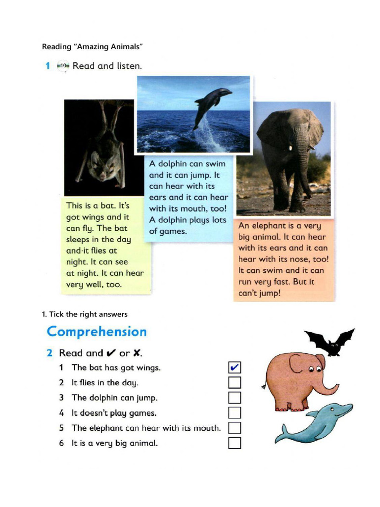 Can Animals | PDF