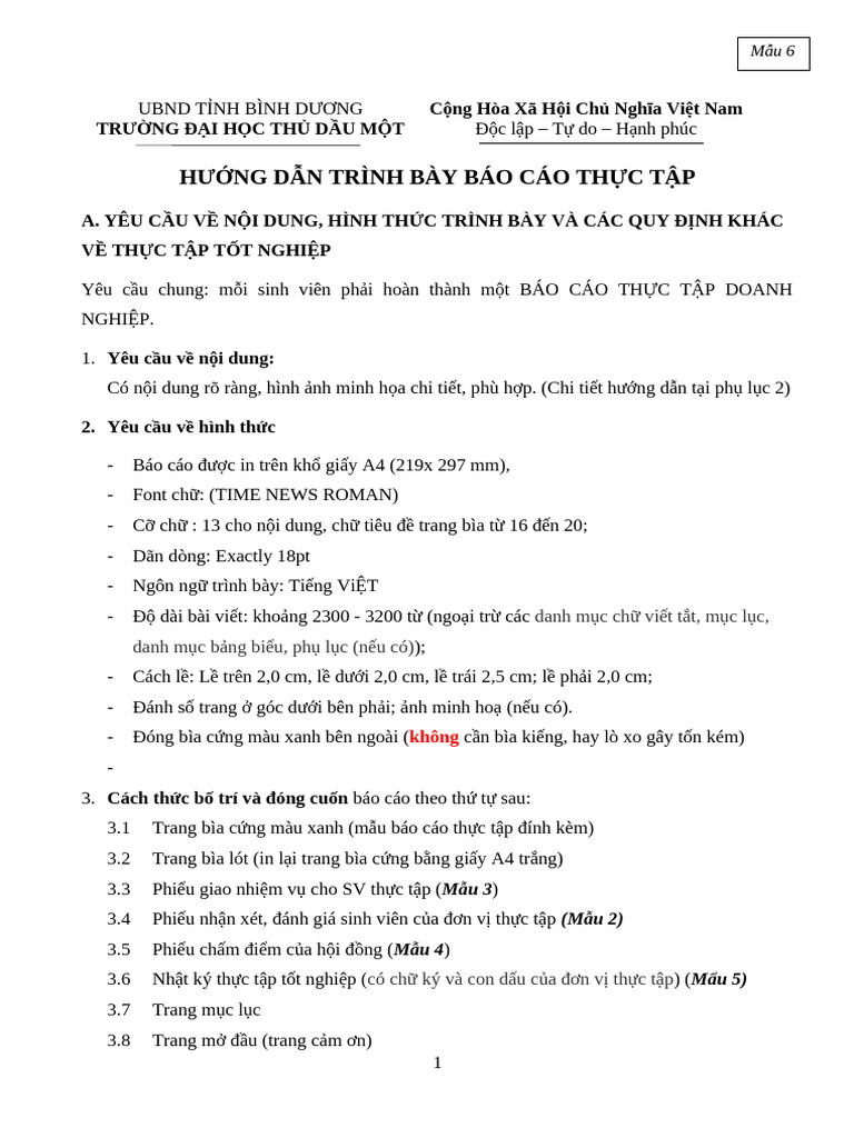 Mau 6 (Huong Dan SV Viet Bao Cao Thuc Tap) | PDF