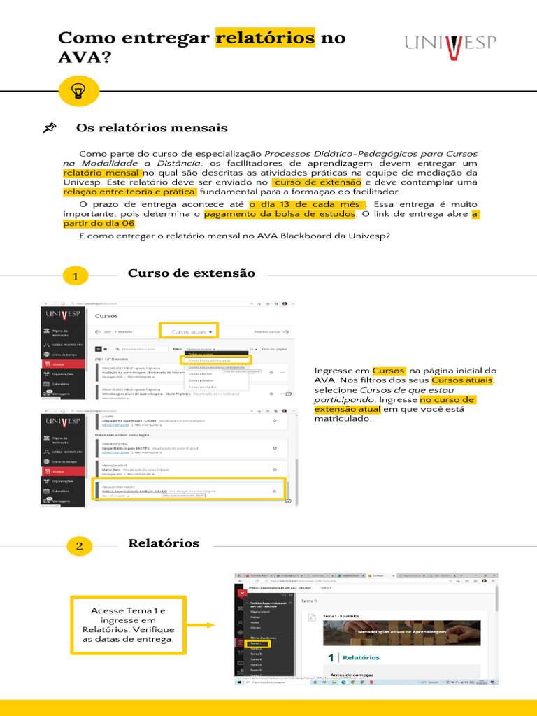 Tutorial - Relatórios - Facilitadores - AVA | PDF