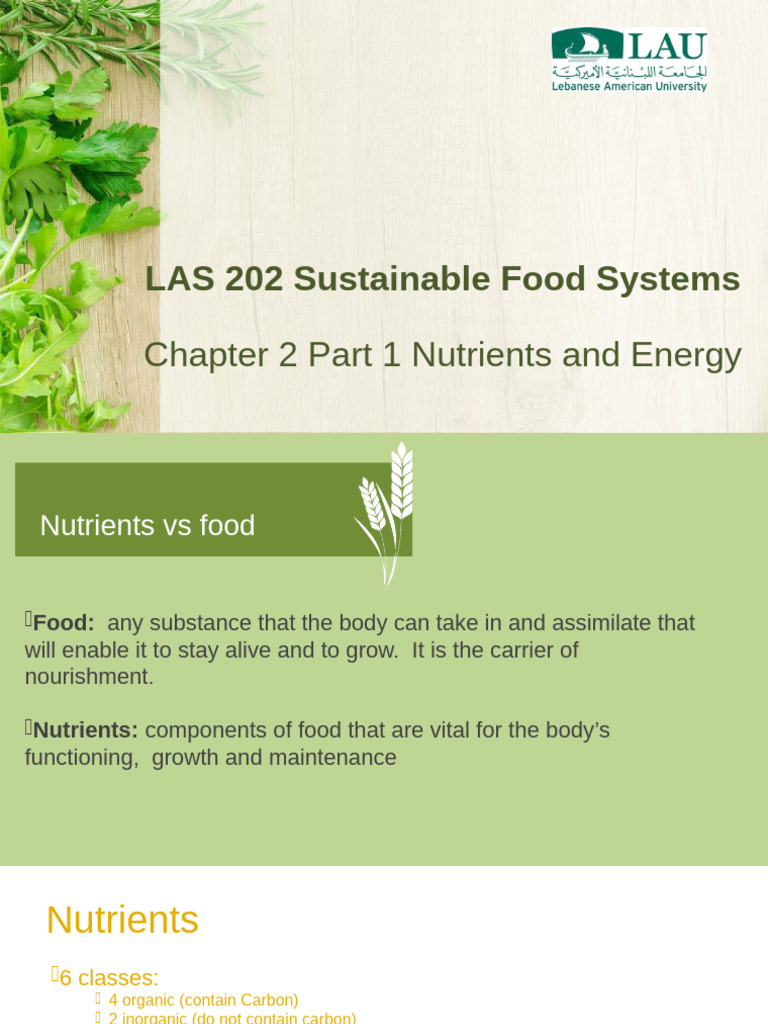 Part 1. Energy and Nutrients | PDF
