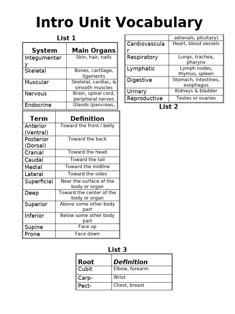 Intro Unit Vocabulary 2014 1 | PDF