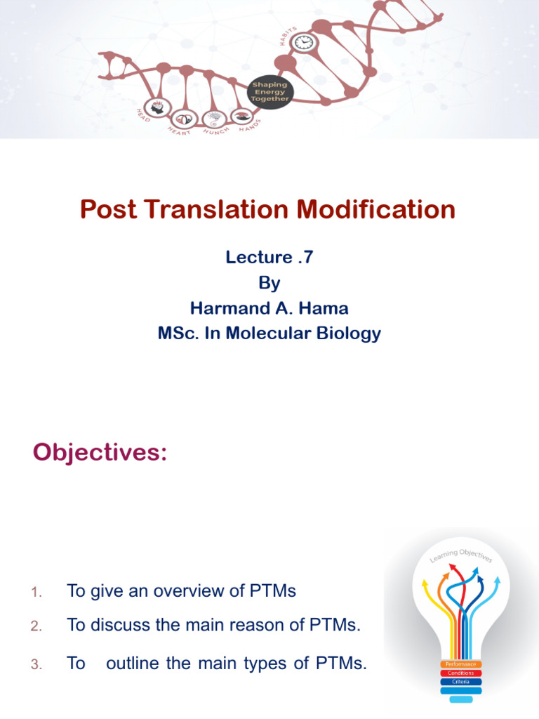 Lec 7 Protein Modifications | PDF | Endoplasmic Reticulum | Amino Acid