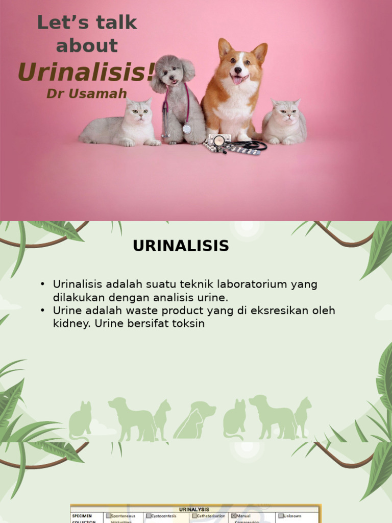 Urinalisis & Basic Cytology | PDF