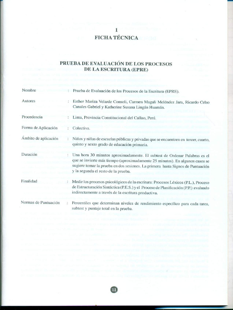 Manual - EPRE | PDF