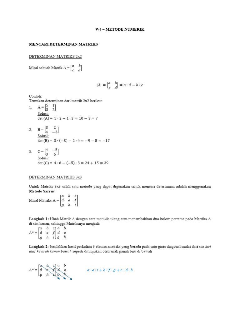 Menghitung Determinan Matriks | PDF