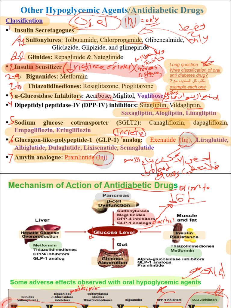 Lecture 7 Antidiabetic Drugs | PDF