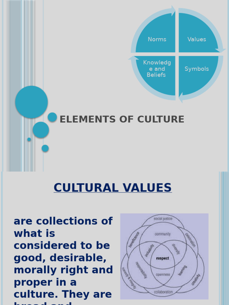 CH 2 - Elements of Culture | PDF