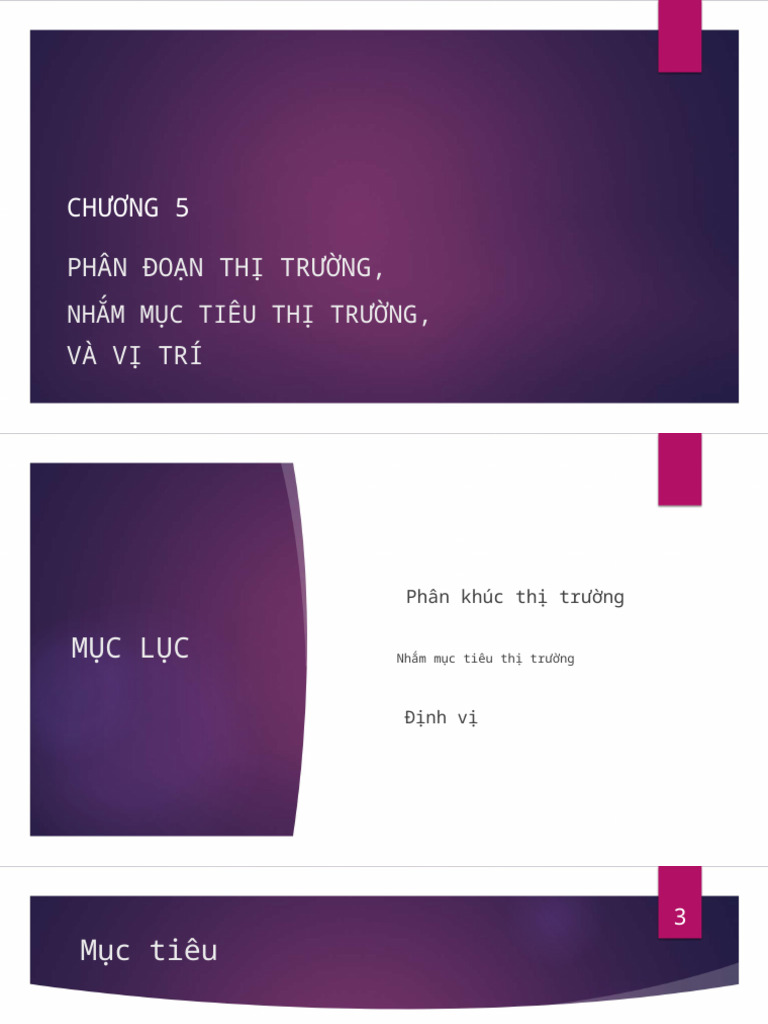 CHAPTER 5 - Market Segmentation,Market Targeting, And Positioning (1) | PDF