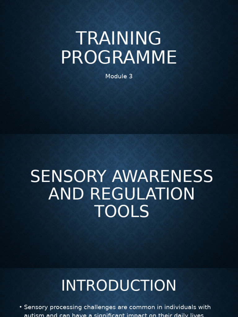 Training - Sensory Processing Disorder (Module-3) | PDF