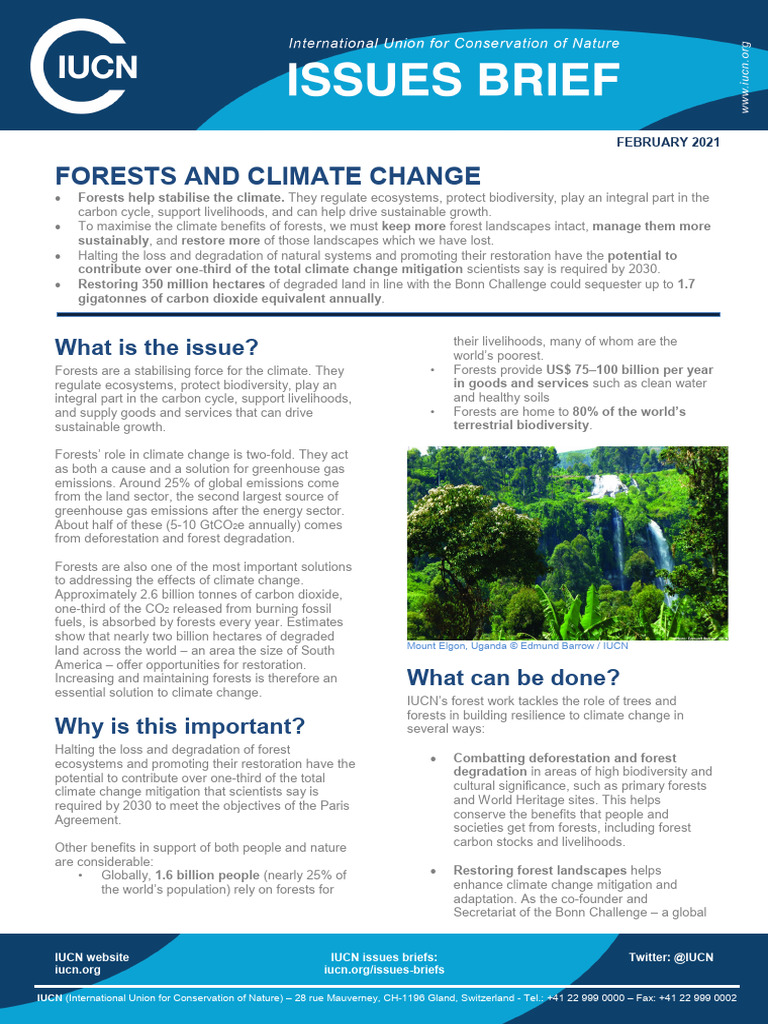 Forests and Climate Change Issues Brief 2021 | PDF | Climate Change ...