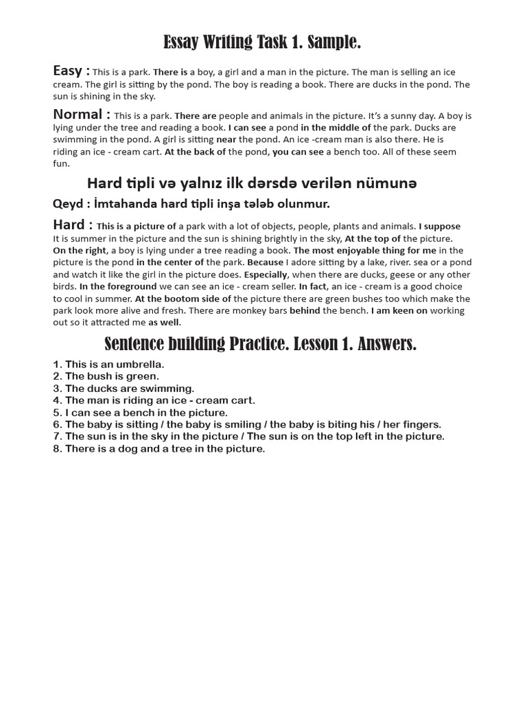 Essay Writing Samples | PDF