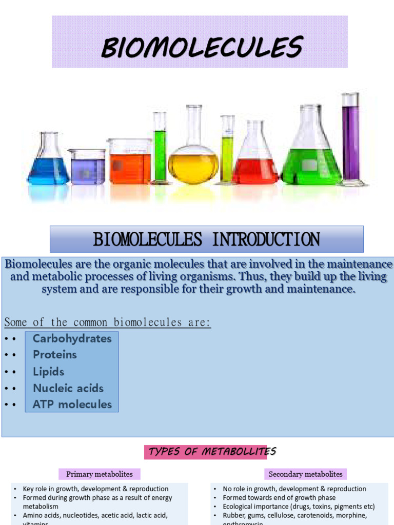 Biomolecules (2) - 1-1 | PDF