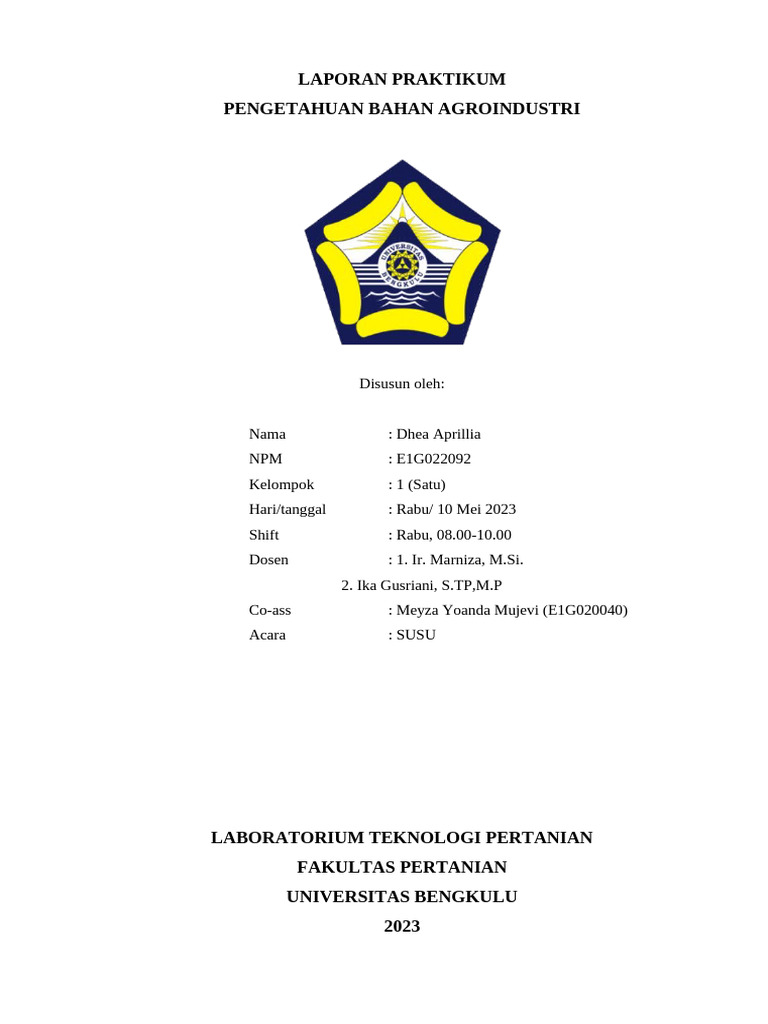 Laprak Pba Dea 8 | PDF
