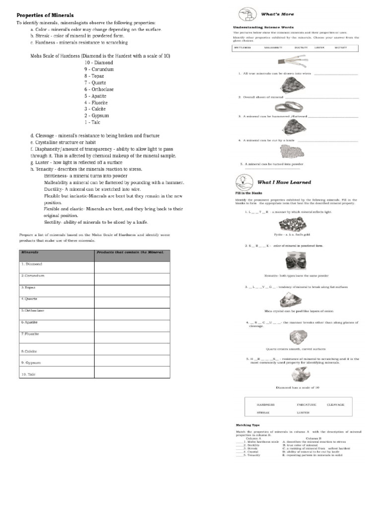 Activity Module 3.1 2 | PDF