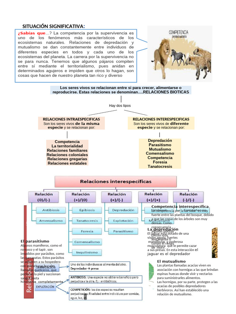 Ficha 03 Relaciones Intra e Interespecifica | PDF