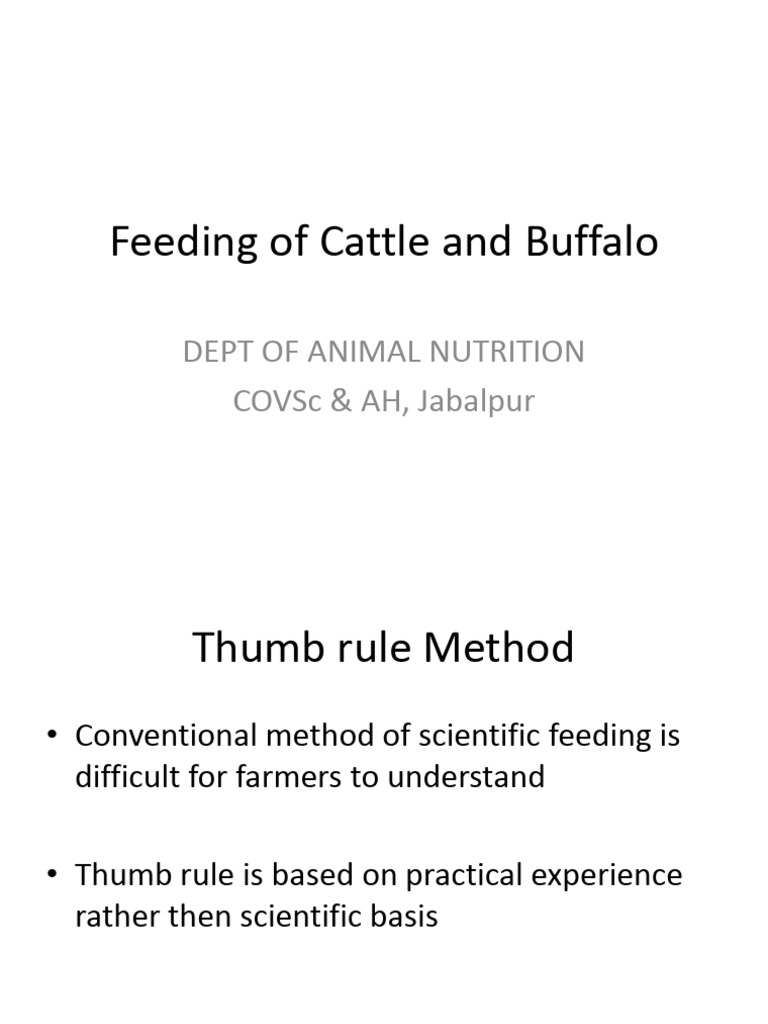 Feeding Cattle and Buffalo | PDF