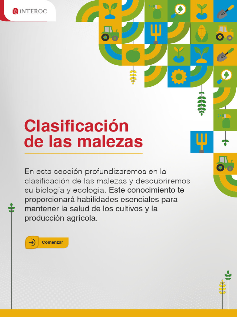 Clasificacion de Las Malezas | PDF