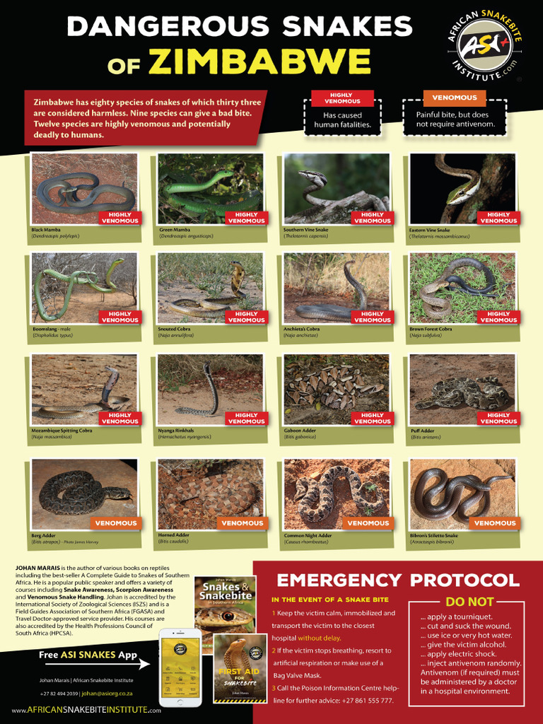 Venomous Snakes of Zimbabwe 1 | PDF