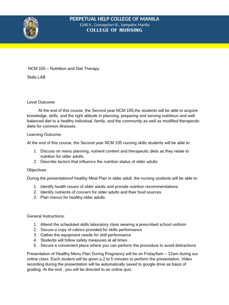 Nutri Lab-Rubric- Meal Plan in Older Adult | PDF