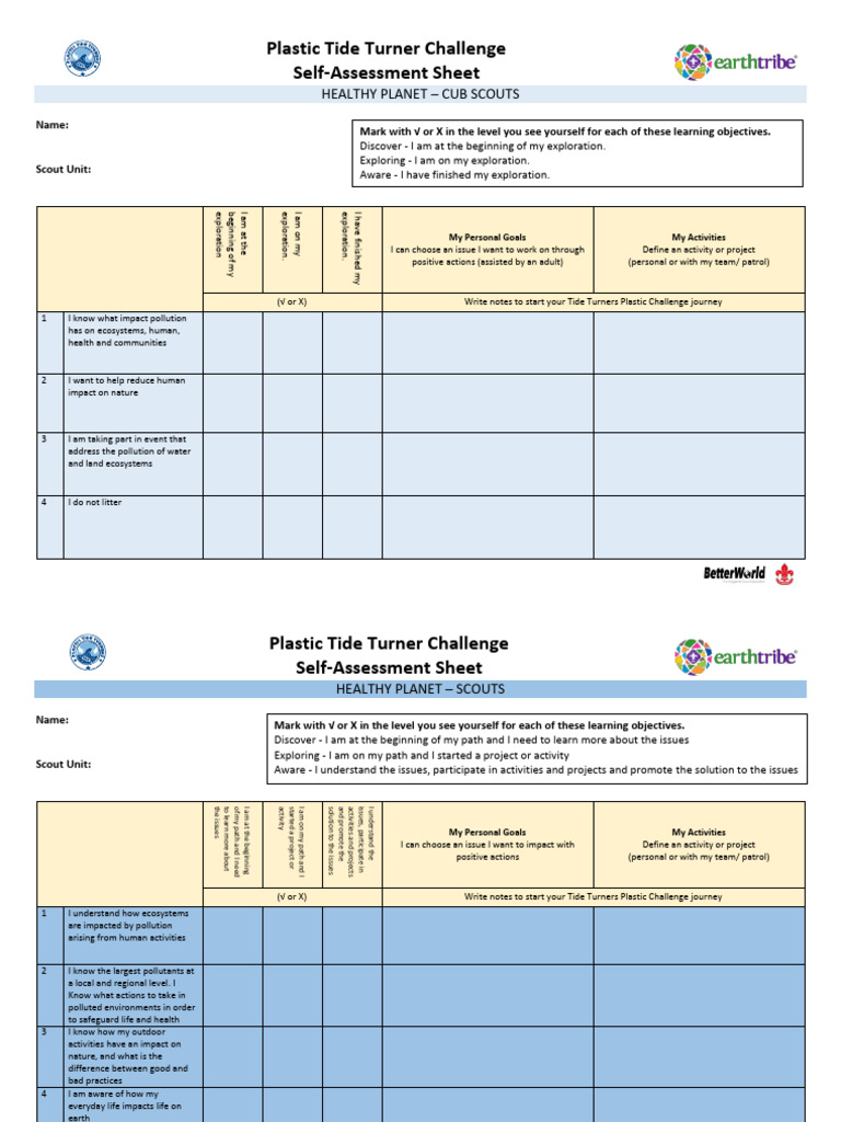 Plastic Tide Turners Challenge Self Assessment Sheet SSAv2 | PDF