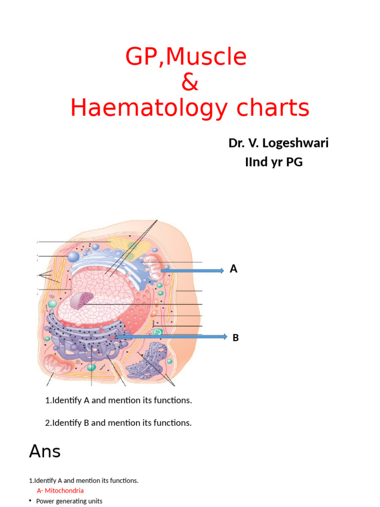 Blood Charts New 2018 | PDF