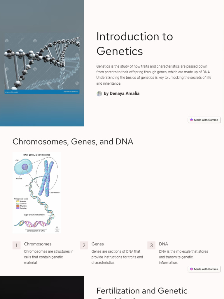 Introduction To Genetics | PDF | Genetics | Science & Mathematics