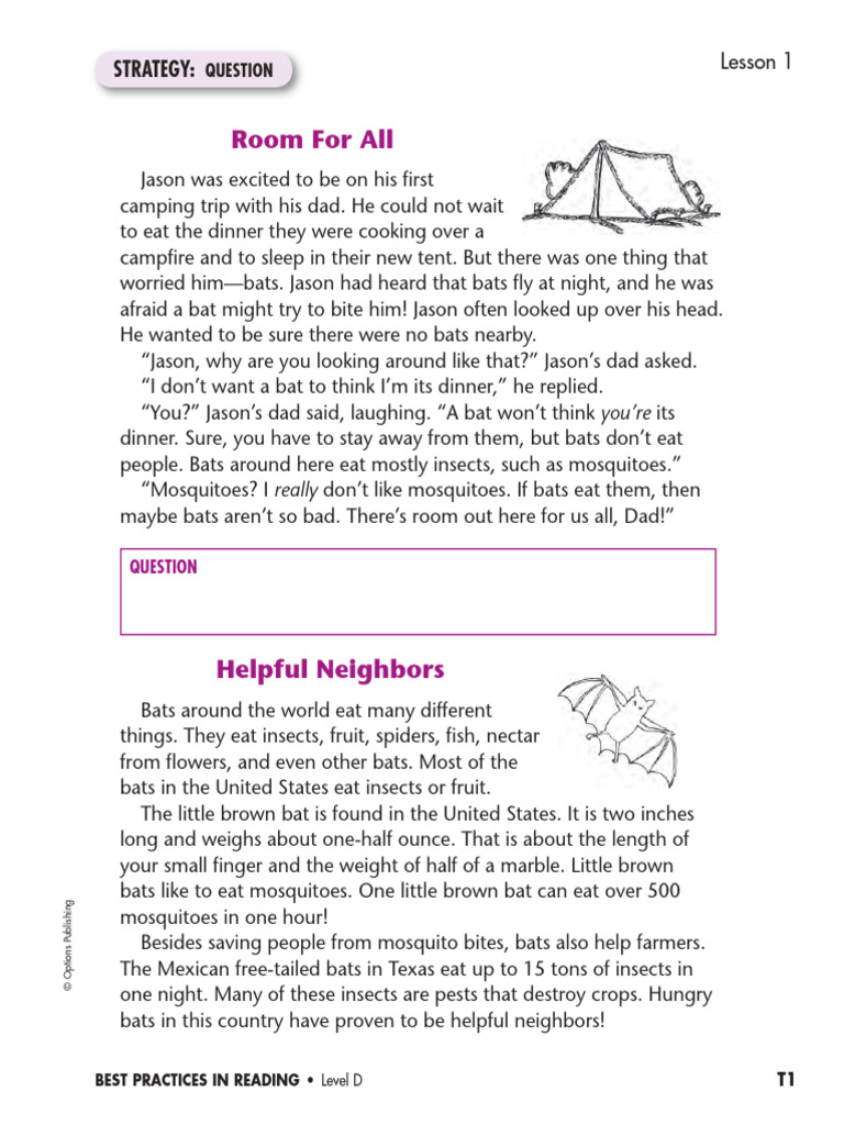 Level D Transparencies | PDF