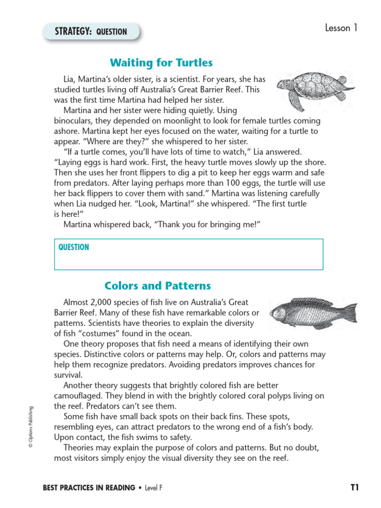 Level F Transparencies | PDF