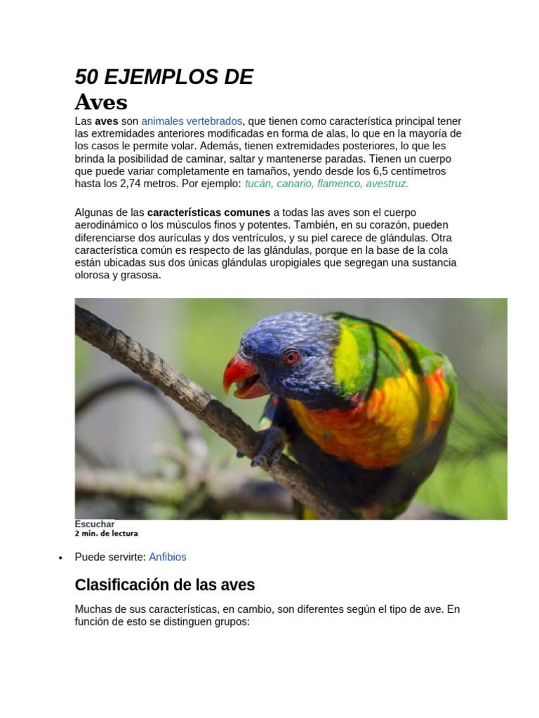 50 Ejemplos de aves | PDF