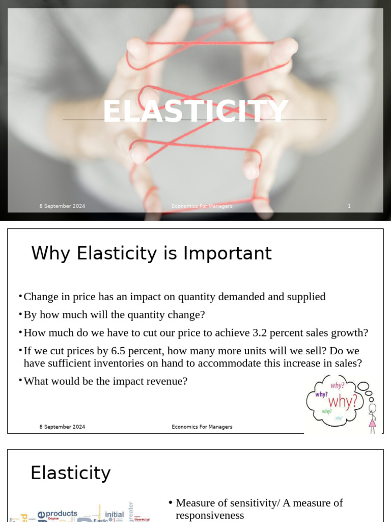 Elasticity | PDF