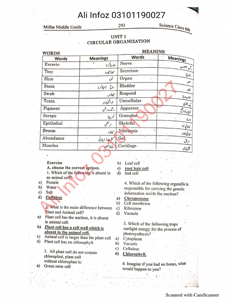 Science 6th Guide by Muhammad Ali | PDF