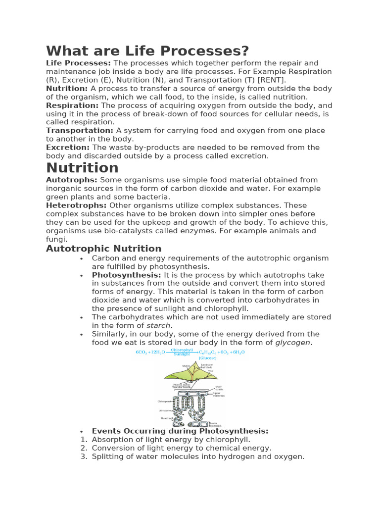 What Are Life Processes | PDF