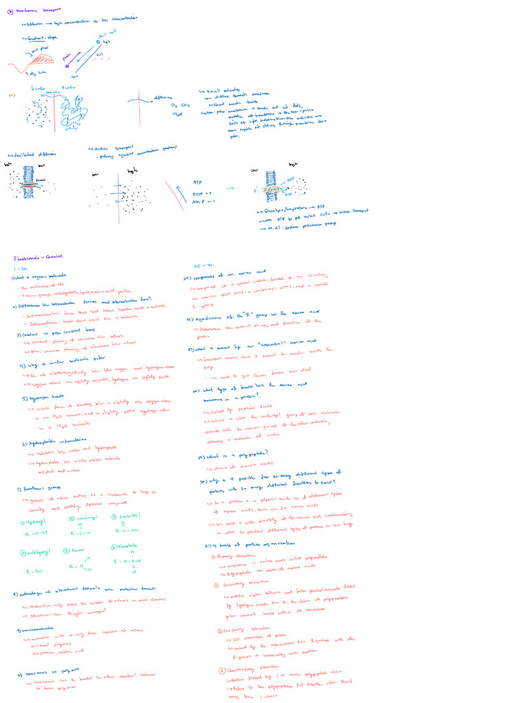 Unit 1 Biochemistry TkY | PDF