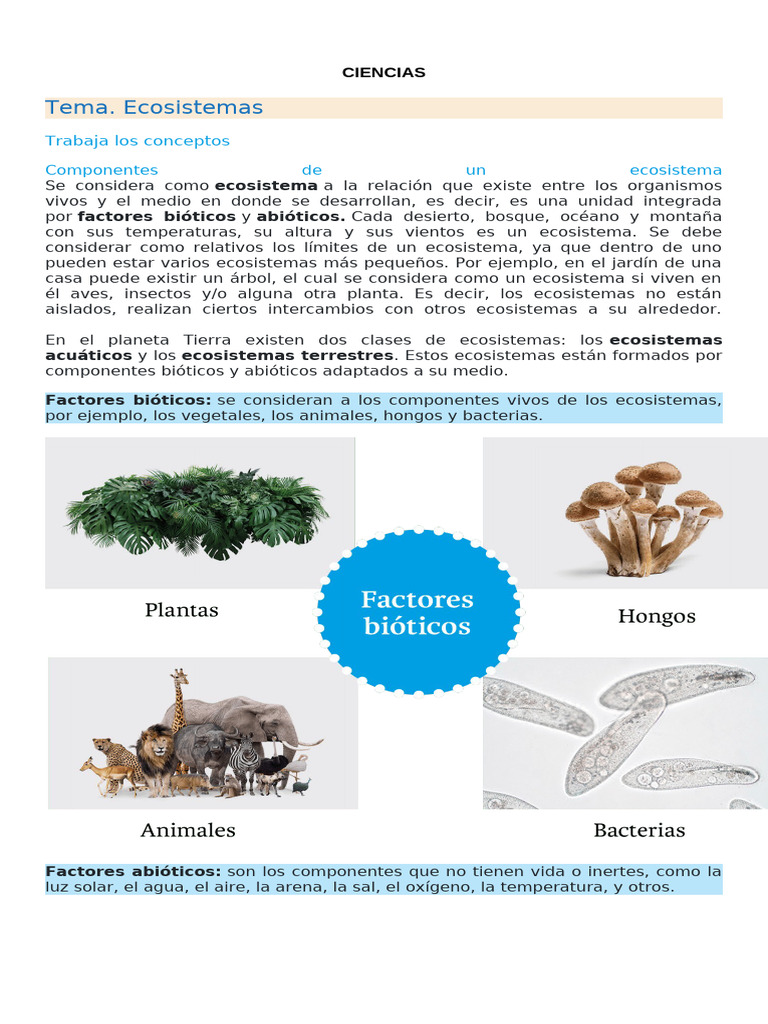 ECOSISTEMA | PDF