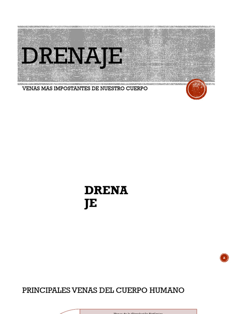 Anat 3 Semana 2022 | PDF