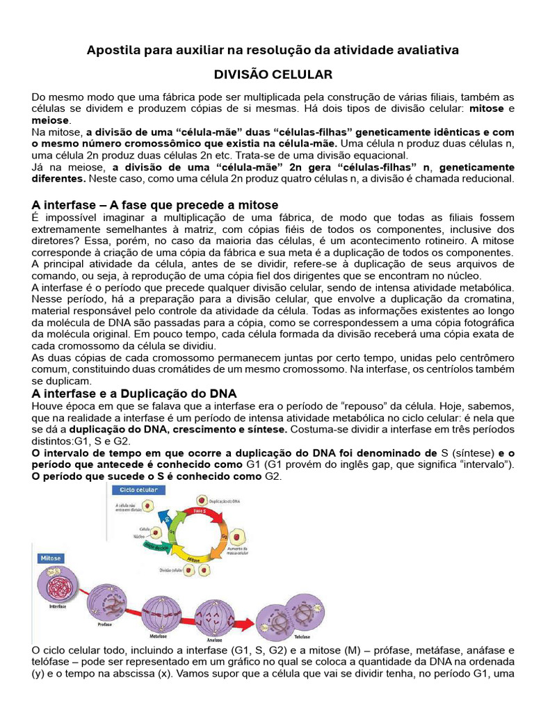 Atividade Avaliativa Do 2º Bimestre - Mitose | PDF