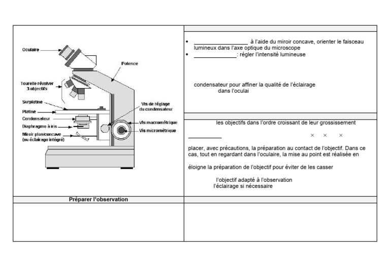 FT Microscope Optique | PDF