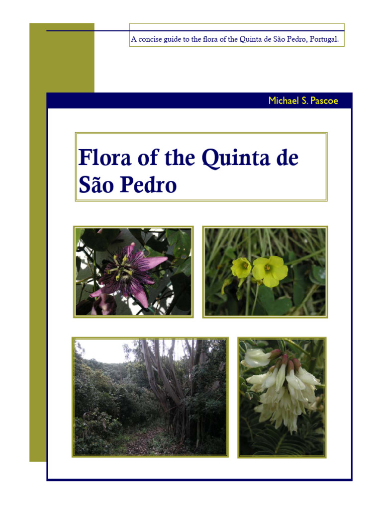 Flora of the Quinta de Sao Pedro_web_Part1 | PDF