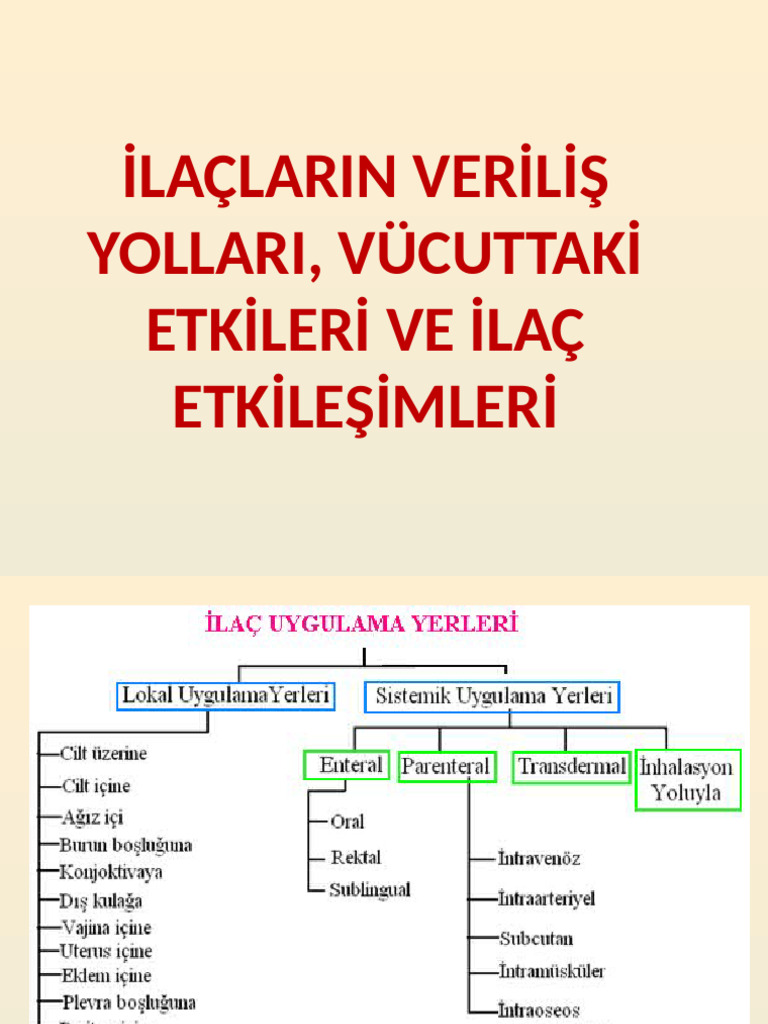 İLAÇ UYGULAMA YOLLARI | PDF