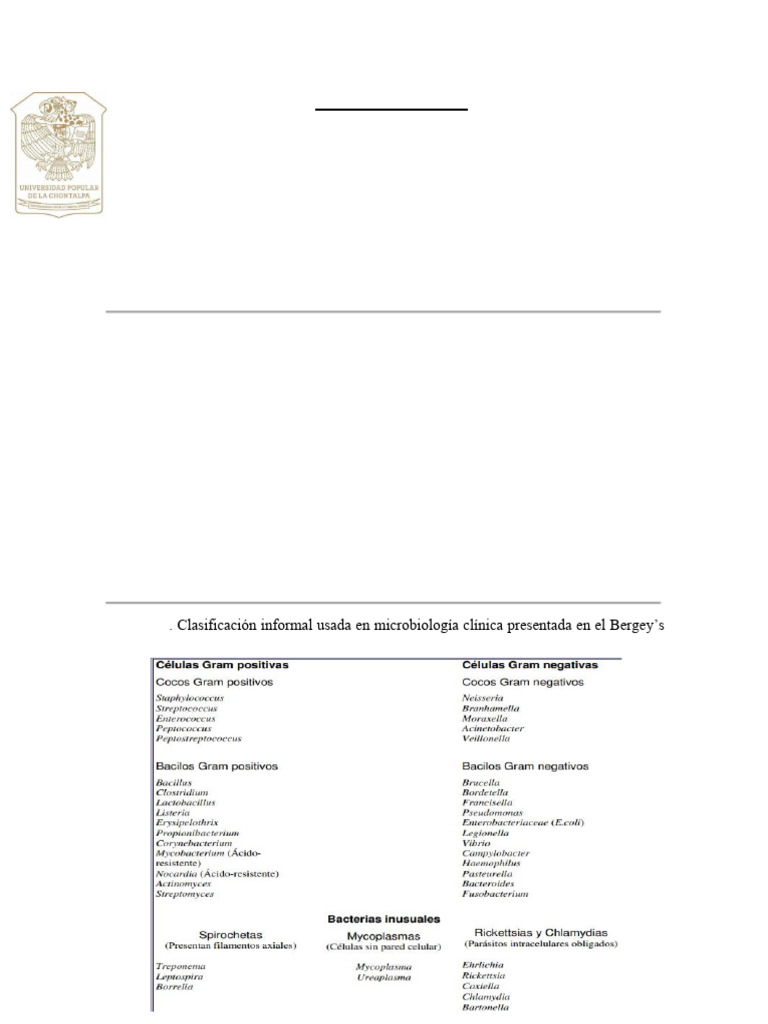 Manual de Bergey: Clasificación Bacteriana | PDF | Las bacterias ...