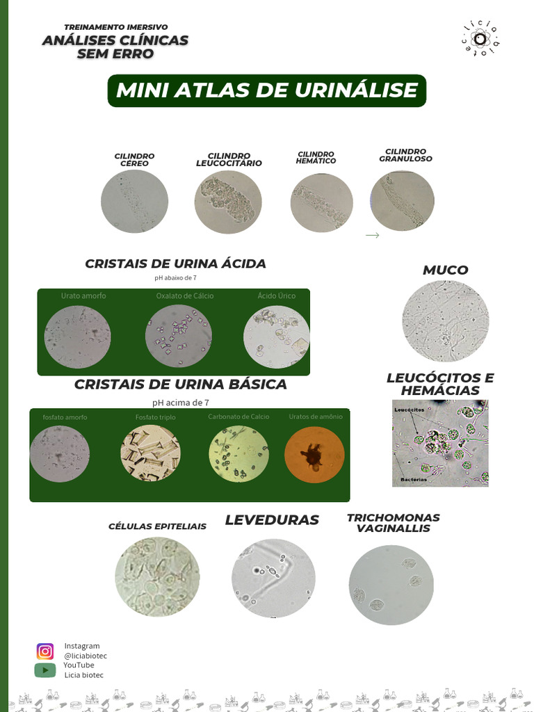 Mini Atlas de Urinálise | PDF
