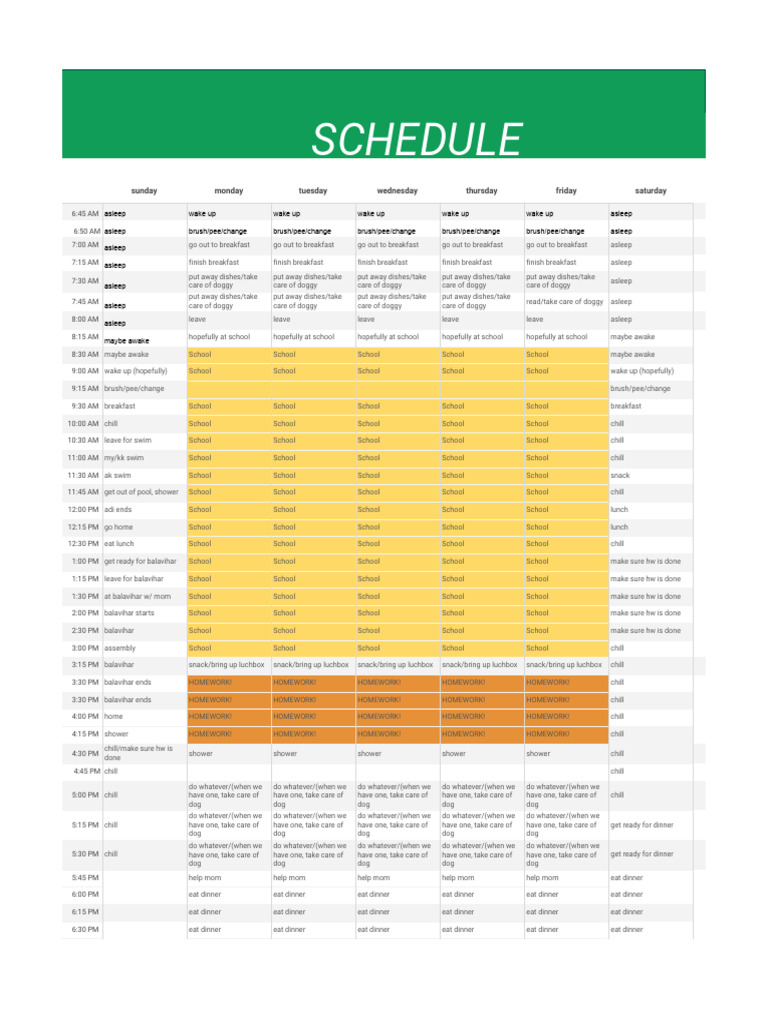 Schedule - Daily schedule 2 | PDF
