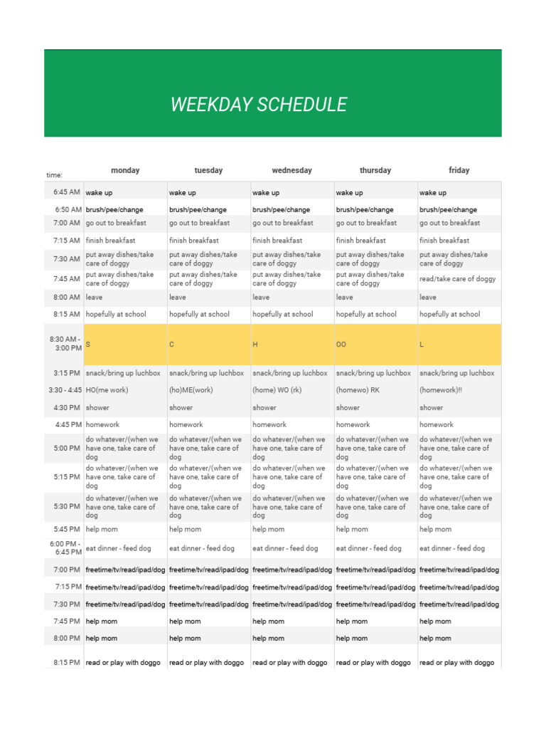 Schedule - Daily schedule 3 | PDF