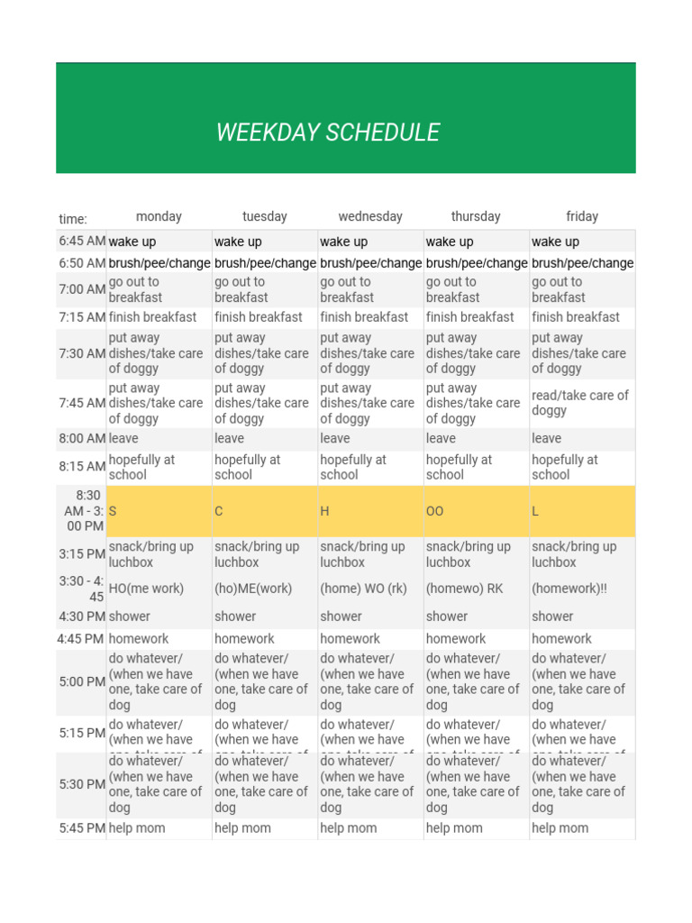 Schedule - Daily schedule 4 | PDF
