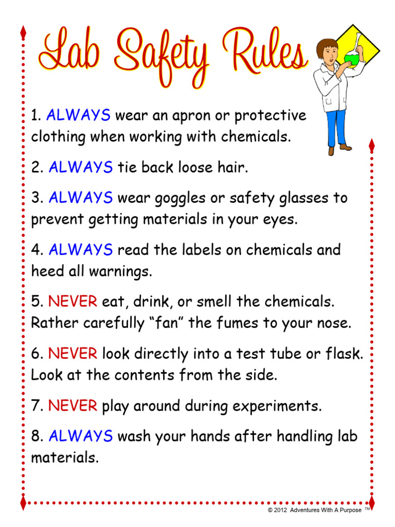 Lab Safety Rules | PDF