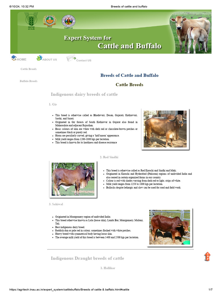 Breeds of Cattle and Buffalo | PDF | Dairy Cattle | Cattle