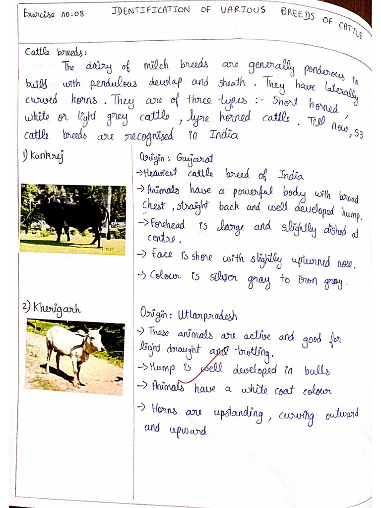 LPM 53 Cattle Breeds | PDF