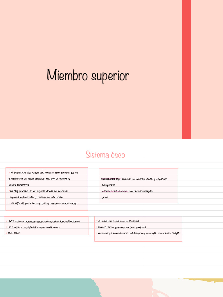 Miembro Superior | PDF