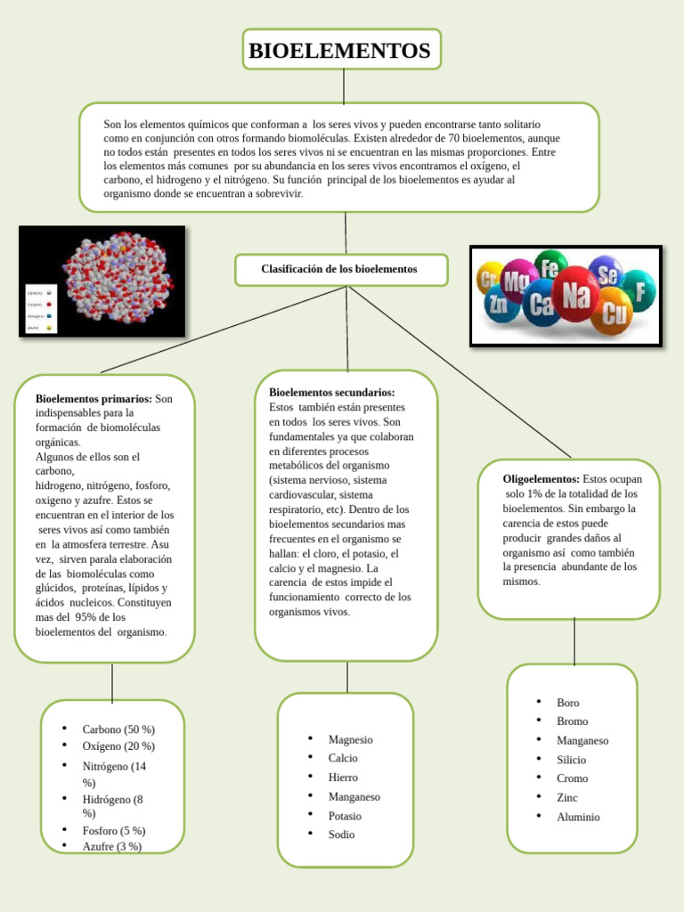 Mapa Conceptual de Los Bioelementos 2 | PDF